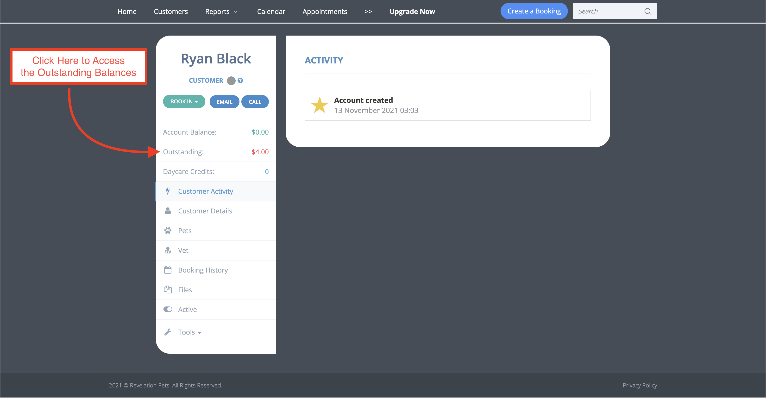 Rev Pets Payments (RPP) Overview – Revelation Pets